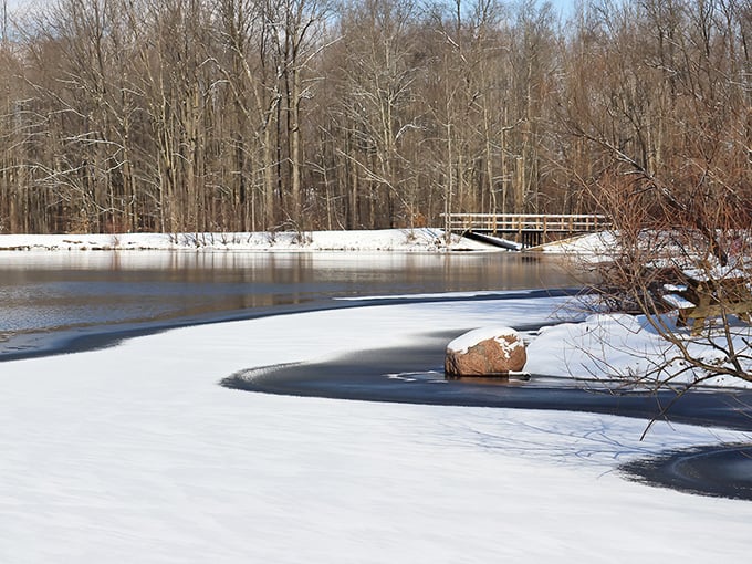 Winter transforms Hidden Lake into a monochromatic masterpiece. The partially frozen water creates nature's own abstract art installation, no gallery admission required.