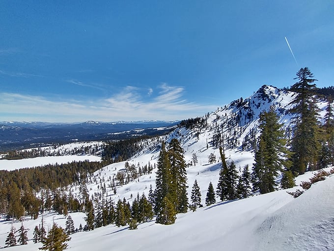 Mother Nature's winter wonderland on full display. The Sierra's snow-draped slopes offer a pristine playground for cold-weather adventurers.