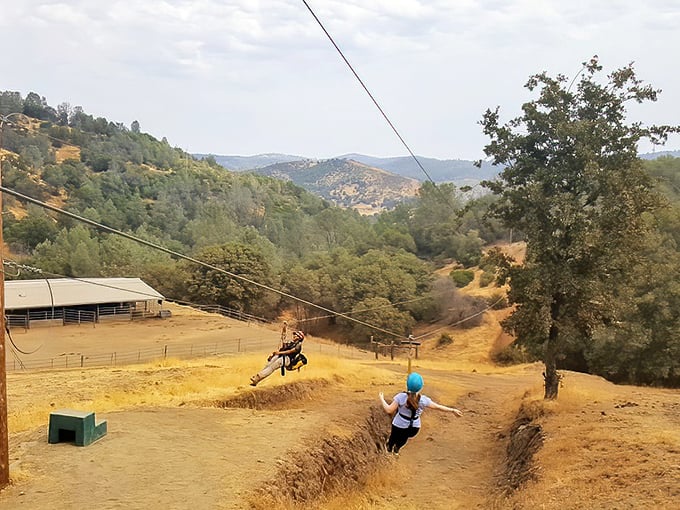 Who needs expensive therapy when you can zip through the Sierra foothills? Mariposa's zipline delivers thrills with a side of spectacular views.