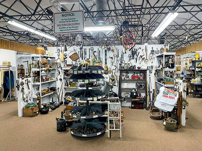 Tool enthusiasts, contain your excitement! This wall of vintage implements would make your grandfather nod approvingly while sharing stories of "real craftsmanship."