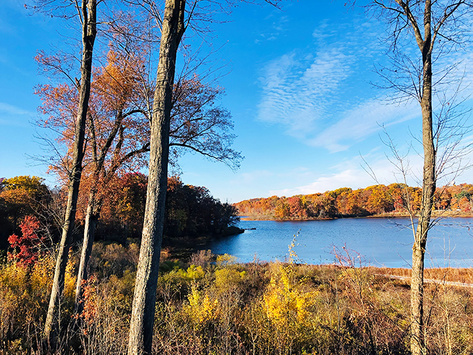 Autumn's finest wardrobe change on full display. The trees dress in their October best, creating a natural cathedral that outshines any man-made wonder.