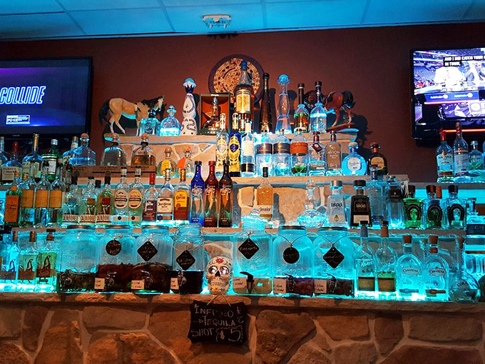 The tequila display glows like a blue-hued shrine to agave spirits. This isn't just a bar—it's a library of liquid happiness with bottles as the books.