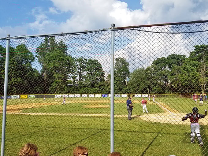 Little League dreams take flight on this well-kept field. The fence advertisements showcase local businesses that support tomorrow's Derek Jeters and Bryce Harpers. 