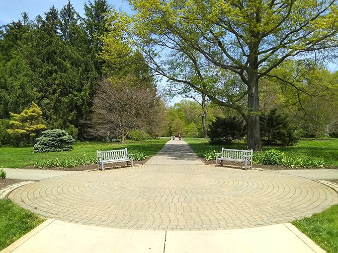 The perfect spot for contemplation. This bench isn't just a place to rest—it's front-row seating to nature's greatest show.