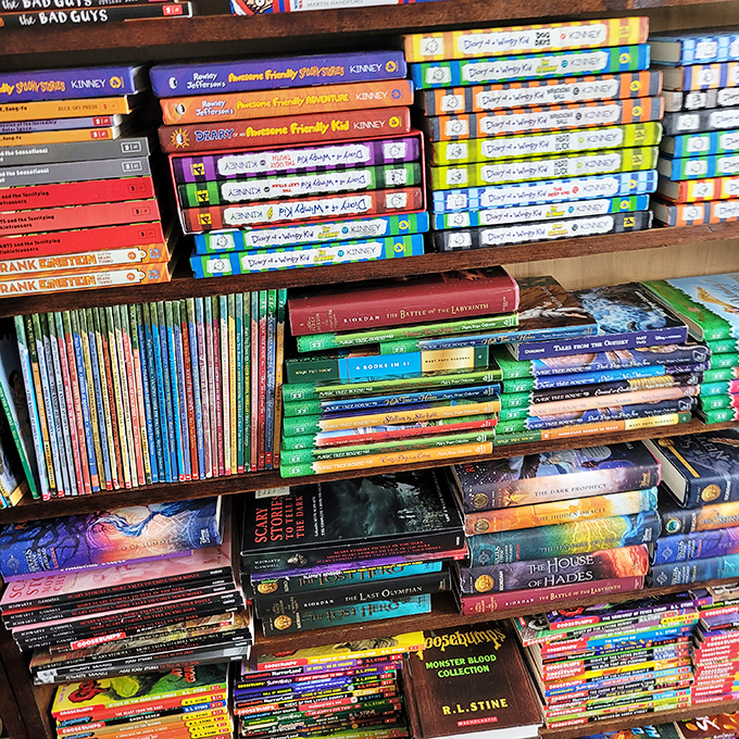 From Goosebumps to Percy Jackson, these colorful spines aren't just books – they're childhood memories stacked neatly on wooden shelves.