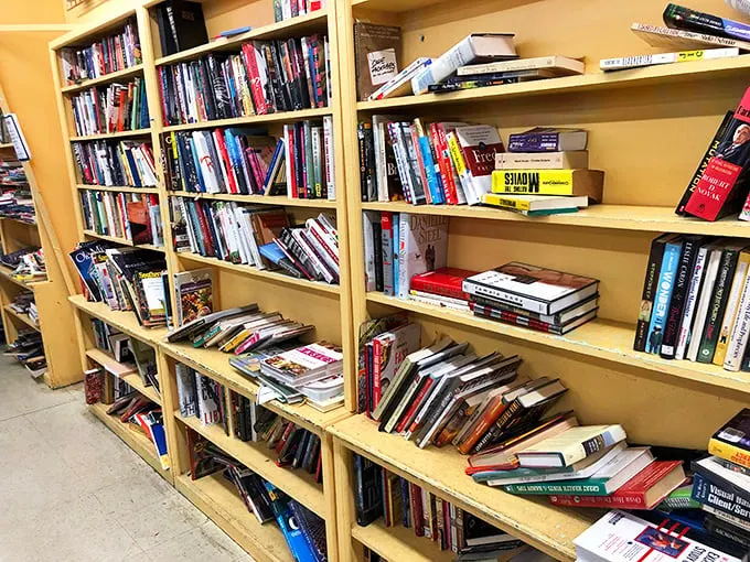 A bibliophile's dream where stories wait for new readers. These shelves hold everything from forgotten bestsellers to cookbooks with someone else's favorite recipes.