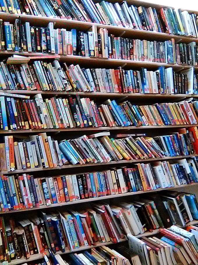 A bibliophile's dream wall of possibilities—thousands of literary adventures waiting to be adopted for less than a fancy coffee.
