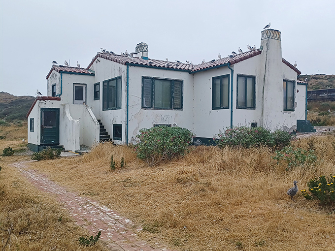 The keeper's quarters whisper stories of isolation and duty, a time capsule from when lighthouse living was a way of life.