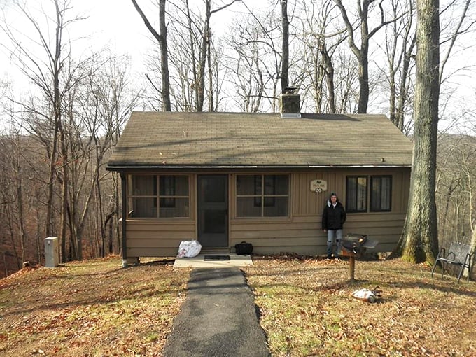 A rustic cabin nestled among leafless winter trees. Cozy simplicity that makes you want to curl up with a book.
