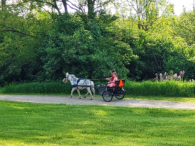 Horse-drawn carriage rides—nineteenth-century Uber with better scenery and zero surge pricing. A timeless way to experience the trails.