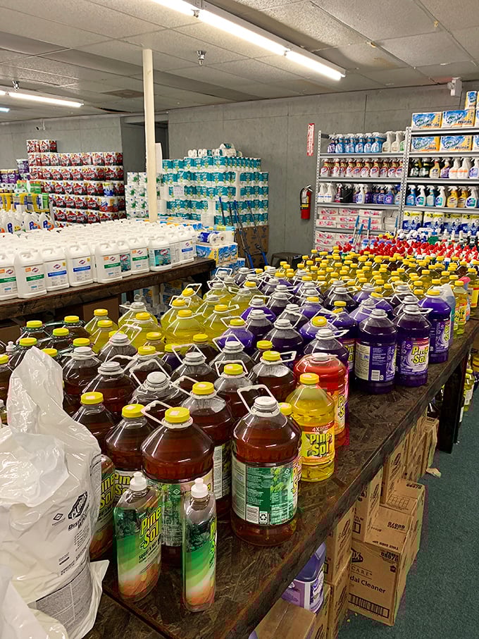 Cleaning product nirvana that would make your grandmother swoon. Pine Sol and friends standing at attention, ready to battle whatever mess you've created.