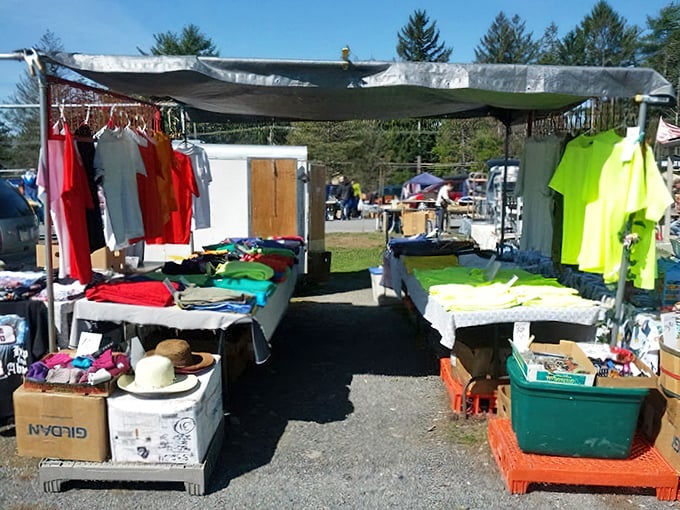 Fashion finds without fashion victim prices. These colorful garments await their chance to revitalize someone's wardrobe with a splash of affordable style.
