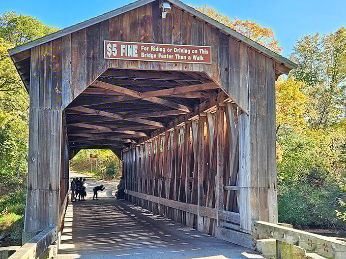 "Five dollars if you speed!" warns the vintage sign, a charming reminder that some things—like taking life slowly—never go out of style.