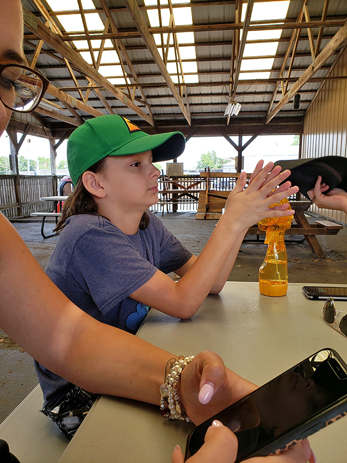 The covered dining area isn't just a place to eat—it's where generations of Ohioans have gathered to celebrate summer with plastic trays and paper-wrapped treasures.