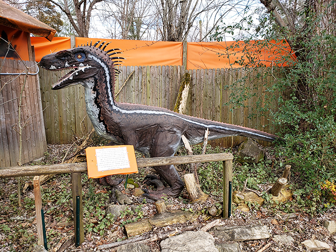 This sleek predator looks ready for action, complete with informational signage. Education and entertainment—the perfect prehistoric pairing.