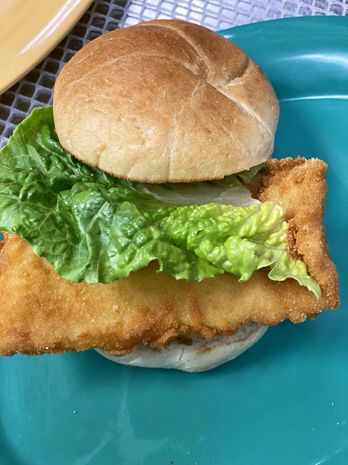 This fish sandwich isn't playing around—a properly substantial piece of fresh fish on a bun that knows its supporting role isn't to overwhelm but complement.