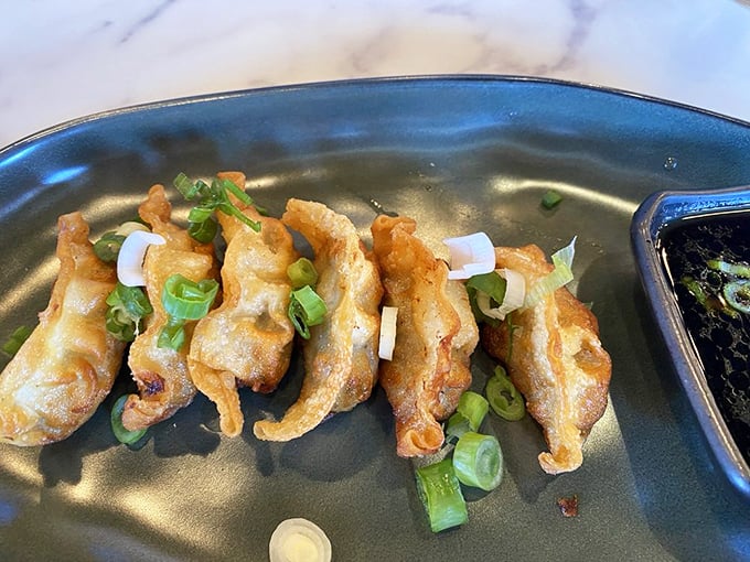 Dumplings doing their best synchronized swimming routine – crispy bottoms up, ready for their soy sauce dive.