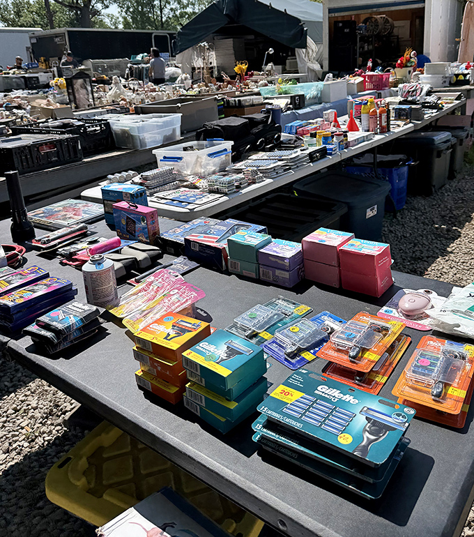 The toiletry tableland—where half-used shampoos and mysterious lotions find new purpose. One person's bathroom overflow becomes another's bargain bonanza.