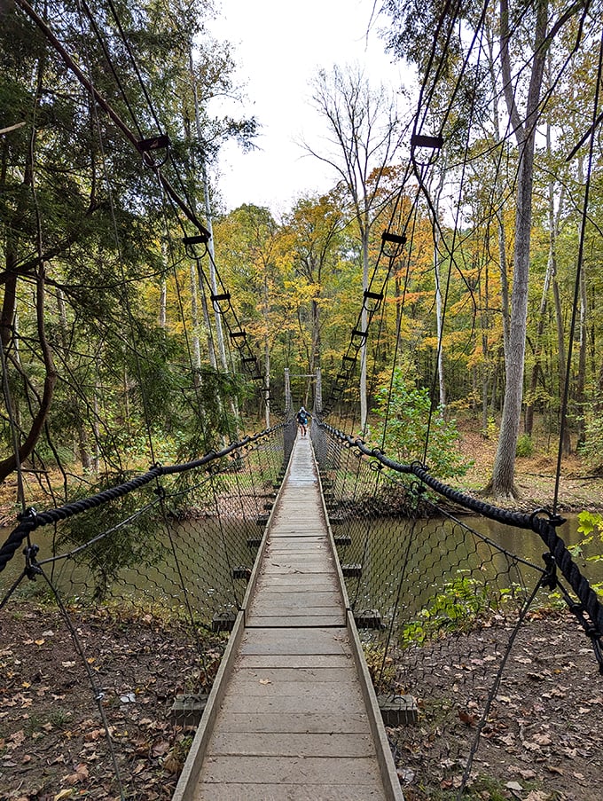 The suspension bridge offers equal parts thrill and tranquility – a perfect metaphor for the best outdoor adventures and definitely worth the wobbly knees.
