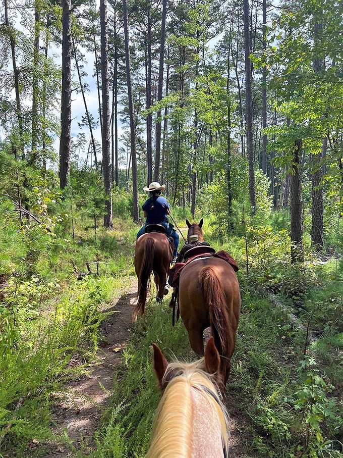 Horseback riding through pine-scented trails—where the only notifications you'll receive are birds singing and leaves rustling.