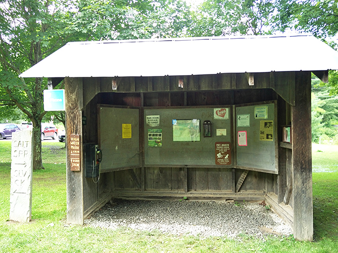 The humble information kiosk—where cell service goes to die but actual human knowledge thrives. Old-school communication center with not a charging port in sight.