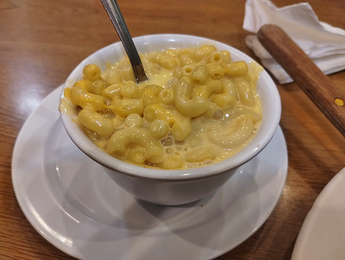 Mac and cheese that doesn't come from a blue box—this is the creamy, dreamy version your inner child has been waiting for.