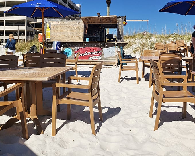 Beach dining that puts your feet in the sand and seafood in your belly—the ultimate Florida multitasking experience.