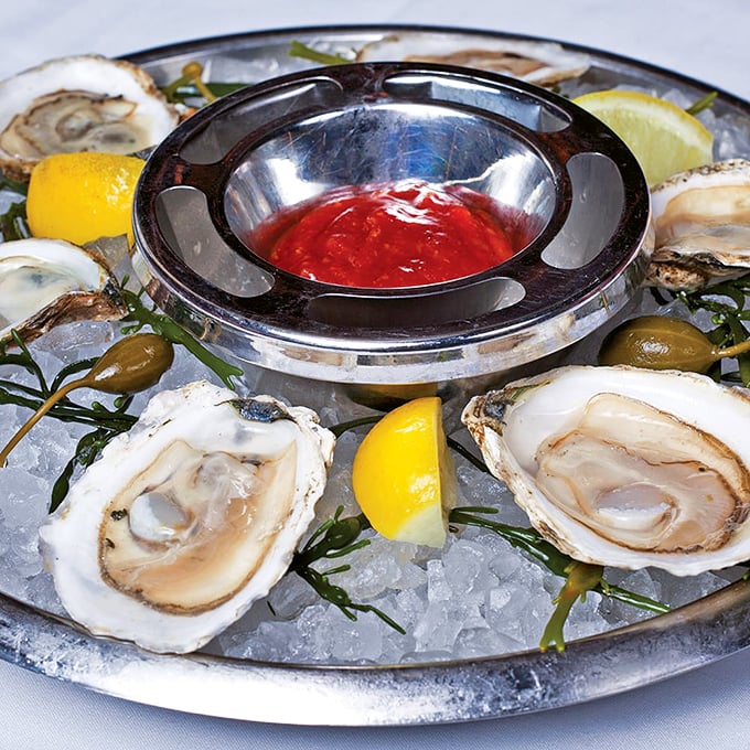 These oysters look like they've been practicing their presentation since they were baby bivalves—perfectly poised on ice with cocktail sass.
