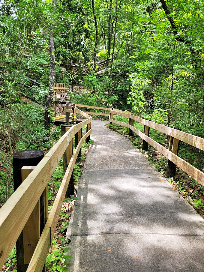 The path less traveled – this boardwalk journey through lush Florida forest builds anticipation with every step toward the main attraction.