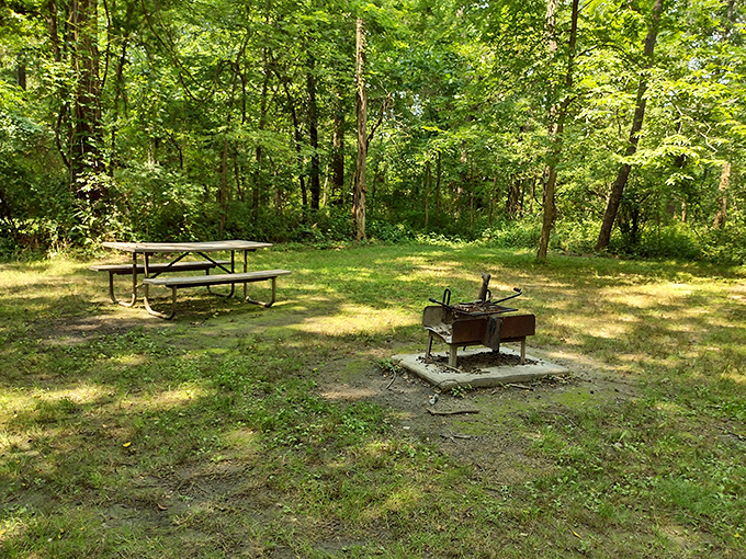 Nature's dining room awaits. This secluded picnic spot offers farm-to-table dining—if your table happens to be a weathered picnic bench under whispering trees.