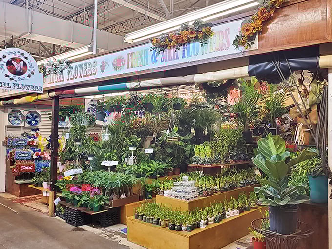 An oasis of green amid the market's hustle. These plants don't just survive, they thrive – much like the diverse businesses under this roof.