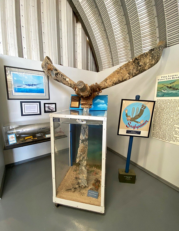 This recovered propeller, bearing the scars of its final flight, serves as both artifact and art piece—twisted metal transformed into historical testimony.