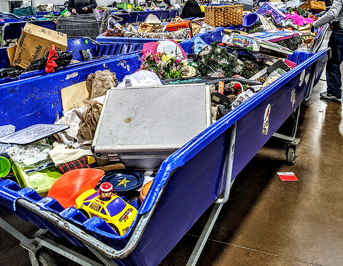 A bin brimming with possibility—holiday decorations, kitchen gadgets, and toys waiting for their second chance at usefulness.
