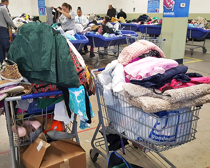 Shopping carts filled with potential and possibility. The modern-day treasure chest doesn't need a map—just patience, vision, and perhaps a good washing machine.