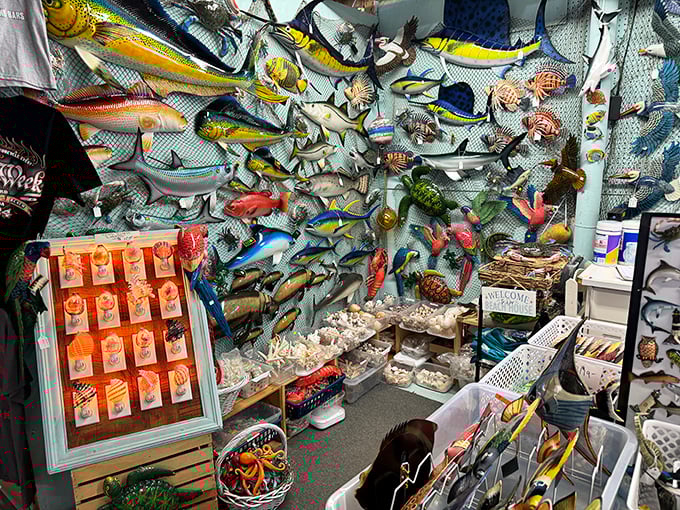 A wall of marine life that would make Jacques Cousteau do a double-take—fishing enthusiasts and coastal decorators, you've found your happy place.