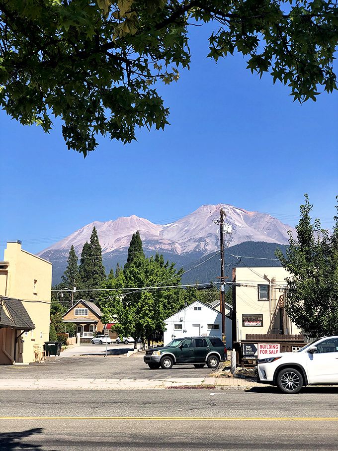 Downtown streets where the mountain photobombs every picture. That peak is the ultimate influencer—it's been trending for about 200,000 years.