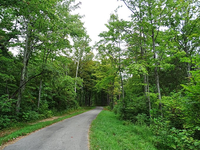 Nature trails that make you forget you're in Ohio – until that perfect moment when you realize Ohio was hiding this beauty all along.