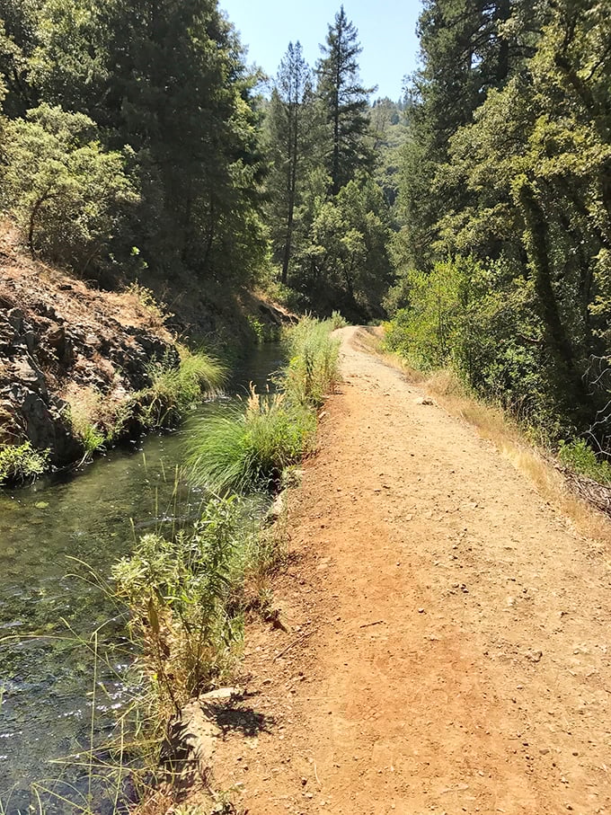 Hiking trails that follow bubbling streams through sun-dappled forests. Exercise disguised as a woodland adventure straight from a Miyazaki film.