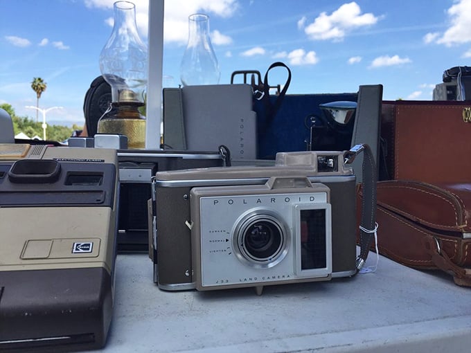 These aren't just obsolete cameras—they're time machines that once captured someone's wedding day, first steps, or summer road trip to Yosemite.