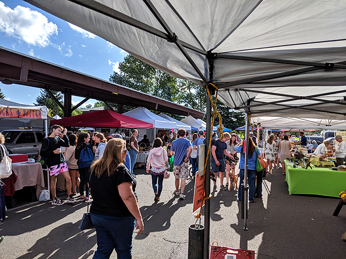 Mountain town market magic! Flagstaff's community gathering spot offers treasures with a side of pine-scented air and friendly conversation.