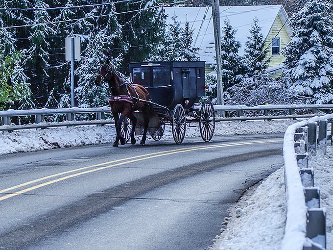 Winter in Amish country means buggies brave the snow—a scene so picturesque it belongs on a holiday card.
