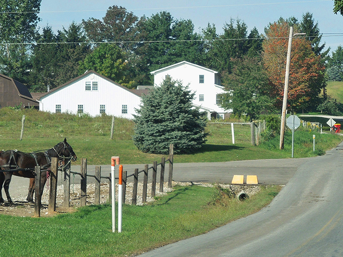Fall in Ohio's Amish Country—where the foliage puts on a show that rivals any Broadway production.