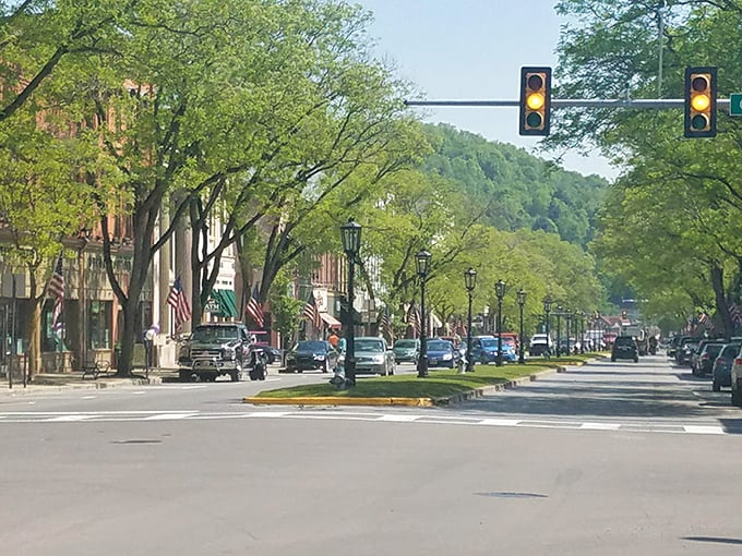 Wellsboro's sun-drenched main street offers that perfect small-town vibe where American flags flutter above storefronts that have seen fashion trends come and go and come again.