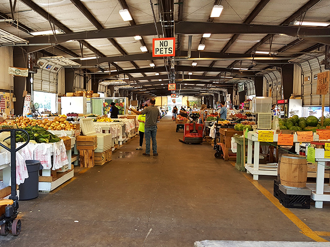 Fresh produce creates a colorful tapestry at Charlotte Regional, where "No Pets" signs remind you this food is serious business.