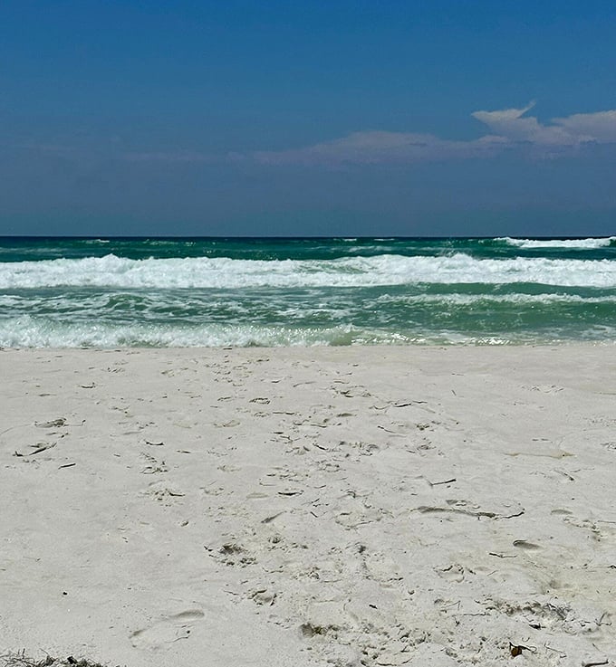 The pristine shoreline of Grayton Beach stretches like nature's welcome mat, inviting you to kick off your shoes and stay awhile.