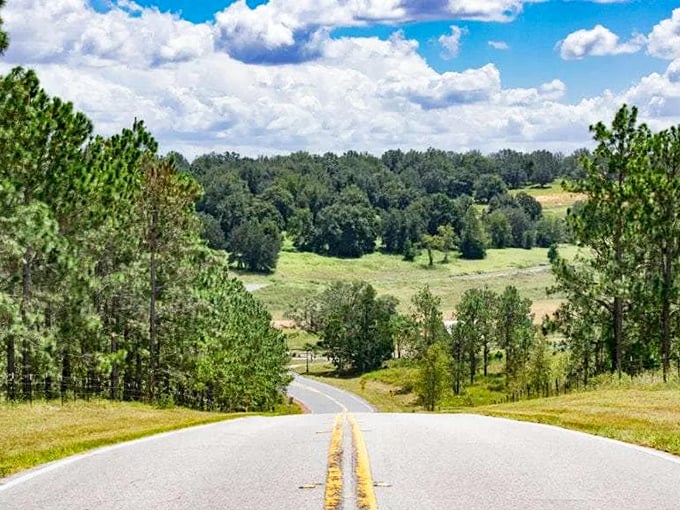 The Green Mountain route offers elevation that feels like the Alps of Florida—if the Alps topped out at 312 feet.