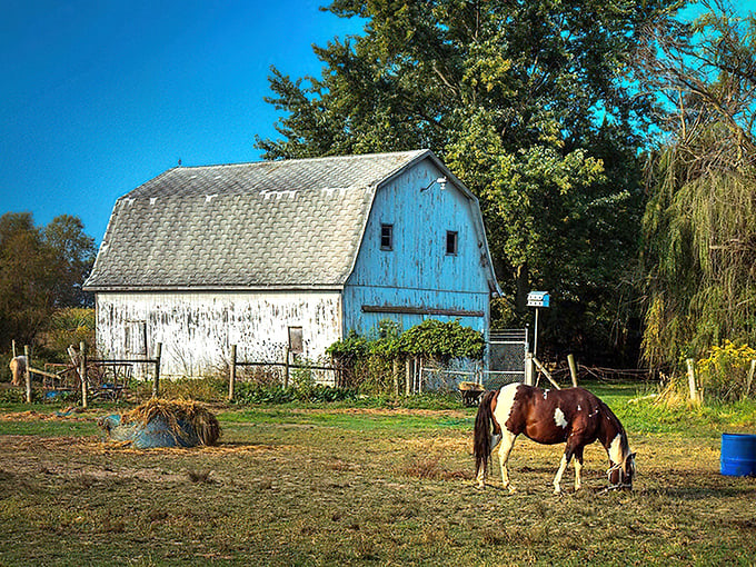 Millersburg’s peaceful pastures and rustic barns offer the perfect countryside escape on a lazy weekend drive through Amish Indiana.