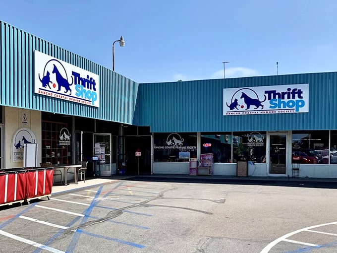This animal-loving thrift shop might look modest, but inside are bargains that would make even the most pampered pets proud.