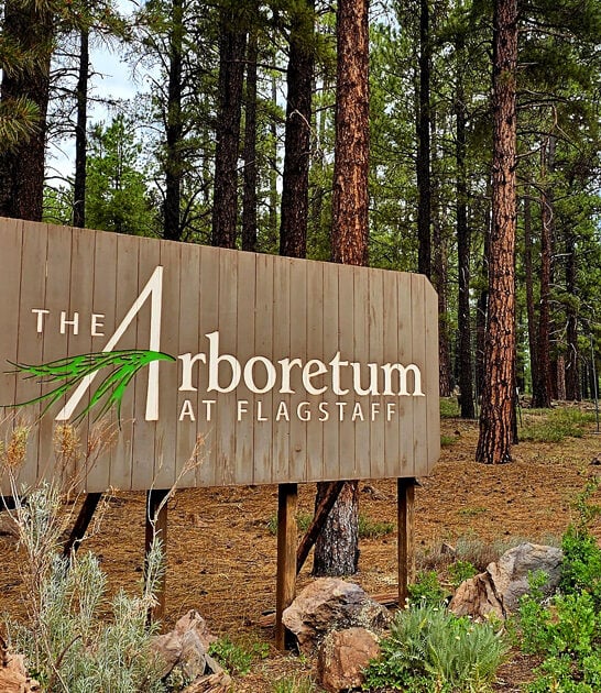 arizona peaceful tree grove ftr