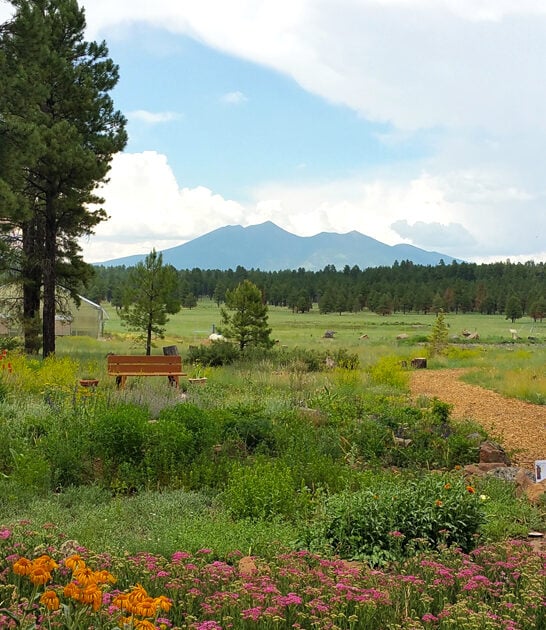 arizona shaded nature grove ftr